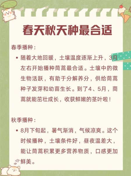 茼蒿什么时候种最好_茼蒿种植时间-第1张图片-山城妙识 茼蒿什么时候种最好_茼蒿种植时间-第1张图片-山城妙识