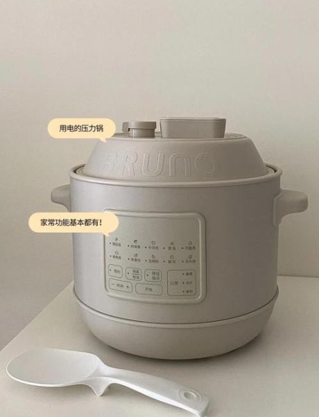 电压力锅怎么炖肉不柴_电压力锅家常菜谱大全-第2张图片-山城妙识 电压力锅怎么炖肉不柴_电压力锅家常菜谱大全-第2张图片-山城妙识