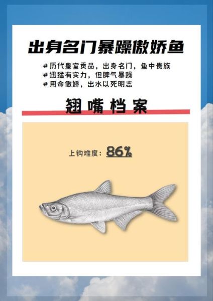 翘嘴鱼多少钱一斤2021_翘嘴鱼价格走势-第1张图片-山城妙识 翘嘴鱼多少钱一斤2021_翘嘴鱼价格走势-第1张图片-山城妙识