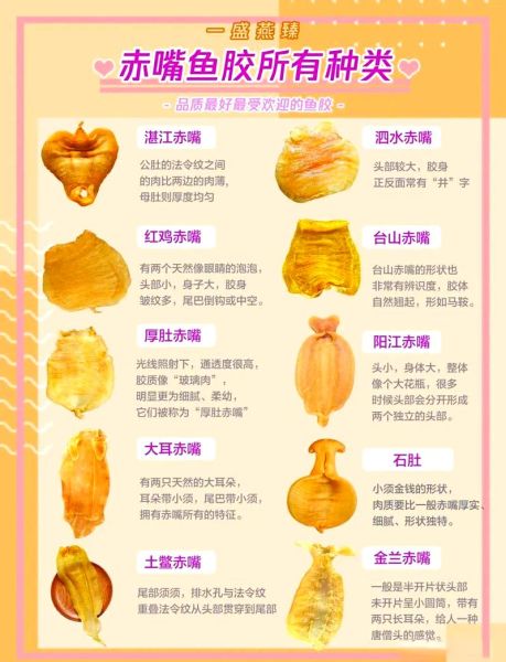 花胶是什么食材_花胶的功效与作用-第1张图片-山城妙识 花胶是什么食材_花胶的功效与作用-第1张图片-山城妙识