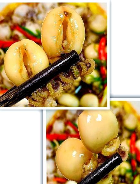 墨鱼仔开水焯几分钟_焯水时间怎么掌握-第1张图片-山城妙识 墨鱼仔开水焯几分钟_焯水时间怎么掌握-第1张图片-山城妙识