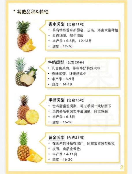 糖尿病人能吃菠萝吗_菠萝的功效与作用禁忌-第2张图片-山城妙识 糖尿病人能吃菠萝吗_菠萝的功效与作用禁忌-第2张图片-山城妙识