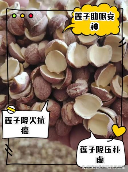 新鲜莲子怎么吃_新鲜莲子功效与作用-第3张图片-山城妙识 新鲜莲子怎么吃_新鲜莲子功效与作用-第3张图片-山城妙识
