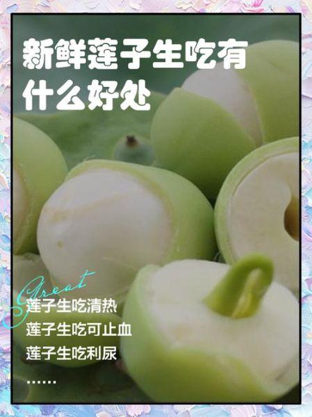 新鲜莲子怎么吃_新鲜莲子功效与作用-第2张图片-山城妙识 新鲜莲子怎么吃_新鲜莲子功效与作用-第2张图片-山城妙识