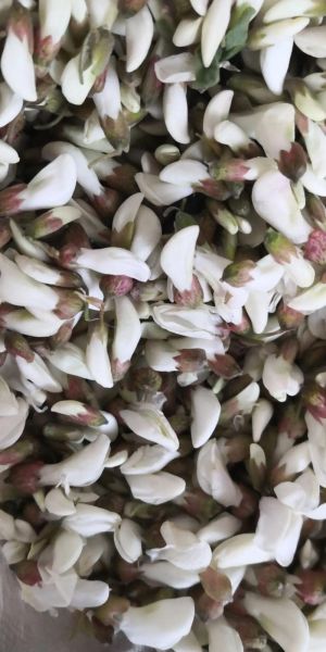 槐花茶怎么制作_槐花茶制作方法-第2张图片-山城妙识