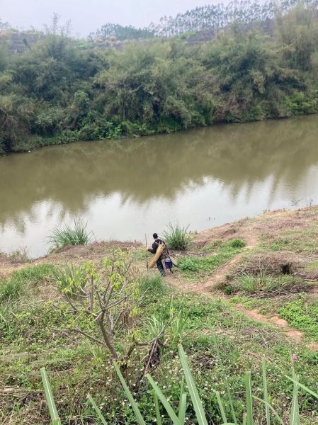 鸡肝钓鱼怎么挂钩_鸡肝挂钩不掉技巧-第2张图片-山城妙识 鸡肝钓鱼怎么挂钩_鸡肝挂钩不掉技巧-第2张图片-山城妙识