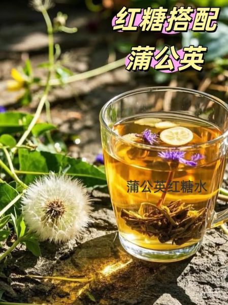 蒲公英泡水喝有什么功效_蒲公英泡水喝的8种搭配-第1张图片-山城妙识 蒲公英泡水喝有什么功效_蒲公英泡水喝的8种搭配-第1张图片-山城妙识