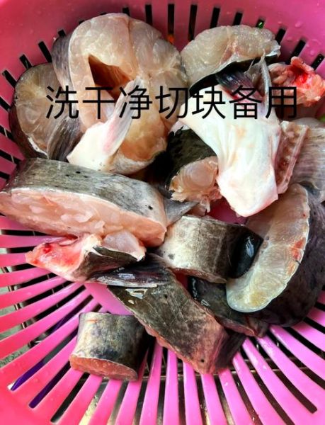 清蒸鮰鱼怎么做_清蒸鮰鱼需要蒸多久-第2张图片-山城妙识 清蒸鮰鱼怎么做_清蒸鮰鱼需要蒸多久-第2张图片-山城妙识