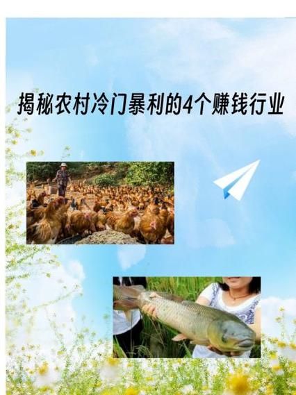 冷门暴利养殖业有哪些_如何快速回本-第1张图片-山城妙识 冷门暴利养殖业有哪些_如何快速回本-第1张图片-山城妙识