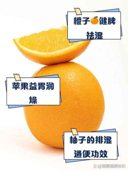 湿热体质吃什么水果_湿热体质适合吃哪些水果-第1张图片-山城妙识 湿热体质吃什么水果_湿热体质适合吃哪些水果-第1张图片-山城妙识