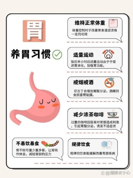 胃不好吃什么食物比较好_胃不舒服饮食禁忌-第2张图片-山城妙识 胃不好吃什么食物比较好_胃不舒服饮食禁忌-第2张图片-山城妙识