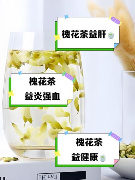 槐花茶的功效与作用_槐花茶能天天喝吗-第1张图片-山城妙识 槐花茶的功效与作用_槐花茶能天天喝吗-第1张图片-山城妙识
