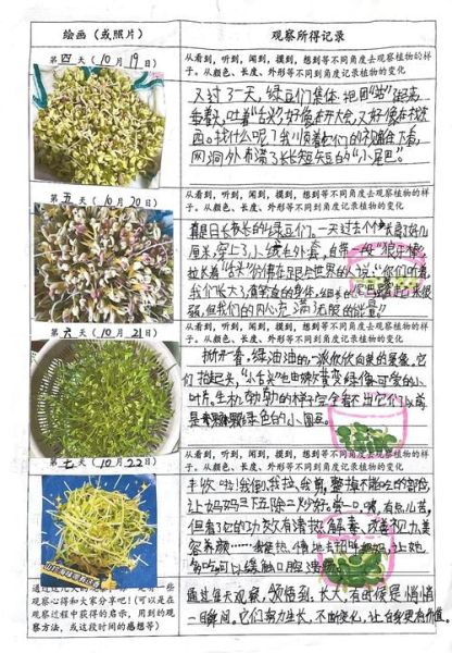 四年级绿豆芽成长日记怎么写_绿豆芽观察记录表模板-第3张图片-山城妙识
