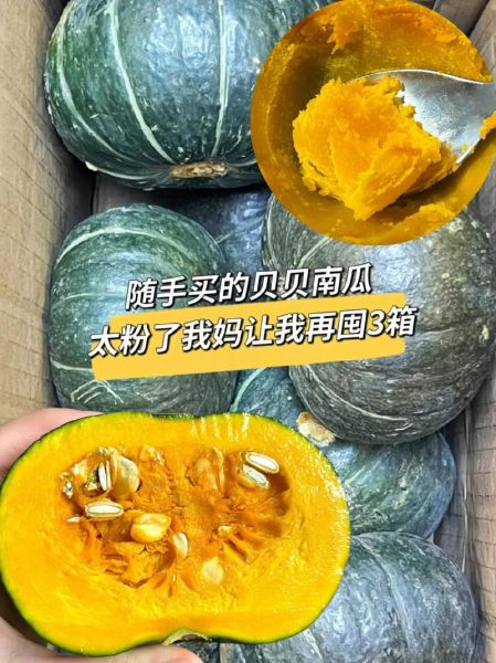 贝贝南瓜皮可以吃吗_贝贝南瓜皮怎么吃才安全-第2张图片-山城妙识 贝贝南瓜皮可以吃吗_贝贝南瓜皮怎么吃才安全-第2张图片-山城妙识