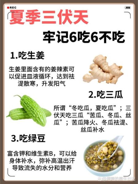 三伏天吃什么食物去湿气寒气_三伏天去湿气寒气吃什么好-第2张图片-山城妙识 三伏天吃什么食物去湿气寒气_三伏天去湿气寒气吃什么好-第2张图片-山城妙识