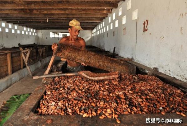 巧克力怎么制作的_可可豆到成品的全过程-第1张图片-山城妙识 巧克力怎么制作的_可可豆到成品的全过程-第1张图片-山城妙识