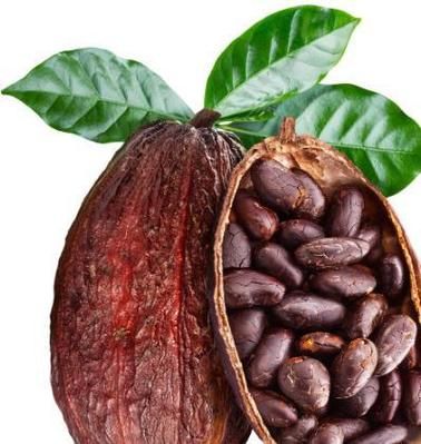 巧克力怎么制作的_可可豆到成品的全过程-第2张图片-山城妙识 巧克力怎么制作的_可可豆到成品的全过程-第2张图片-山城妙识