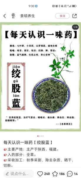 喝绞股蓝会死亡吗_绞股蓝中毒症状-第3张图片-山城妙识 喝绞股蓝会死亡吗_绞股蓝中毒症状-第3张图片-山城妙识