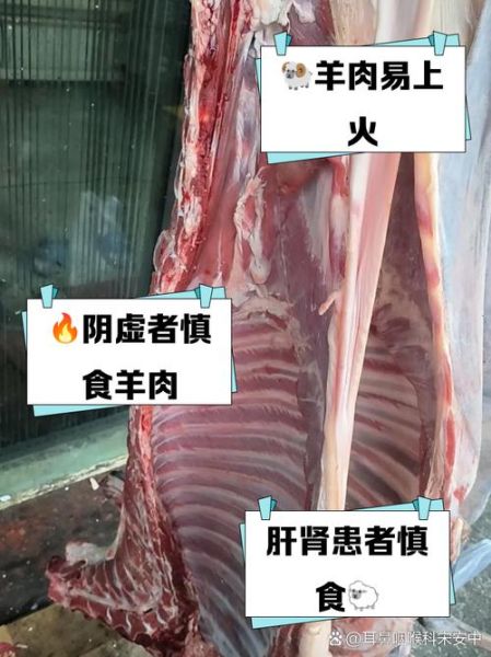 吃羊肉的禁忌有哪些_什么人不能吃羊肉-第1张图片-山城妙识 吃羊肉的禁忌有哪些_什么人不能吃羊肉-第1张图片-山城妙识