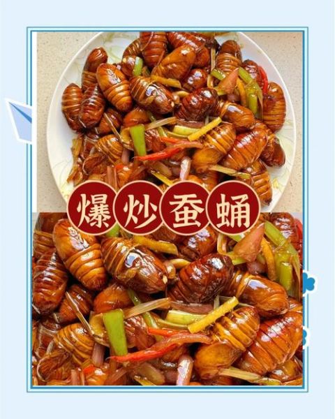 炸蚕蛹需要焯水吗_炸蚕蛹焯水好还是不焯水好-第2张图片-山城妙识 炸蚕蛹需要焯水吗_炸蚕蛹焯水好还是不焯水好-第2张图片-山城妙识