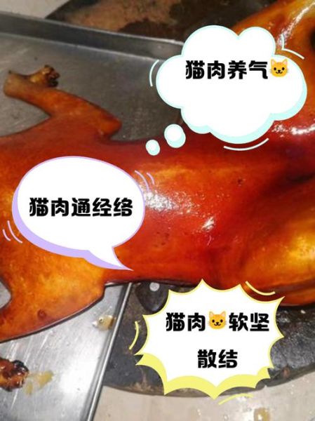 焖猫肉的做法大全_猫肉怎么焖才好吃-第1张图片-山城妙识 焖猫肉的做法大全_猫肉怎么焖才好吃-第1张图片-山城妙识