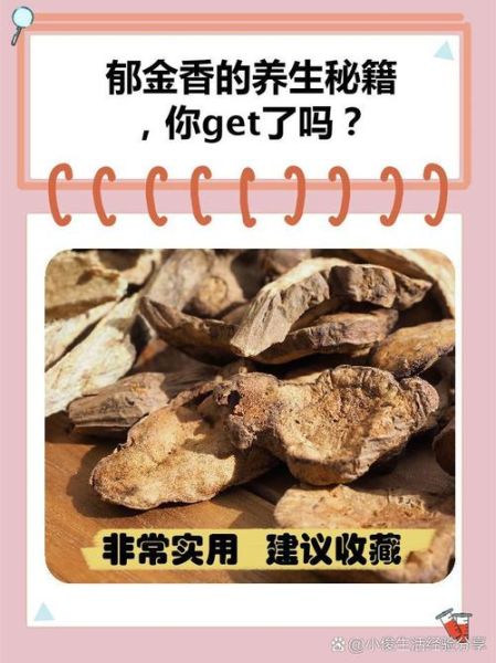 郁金的功效与作用是什么_郁金能治疗哪些疾病-第2张图片-山城妙识 郁金的功效与作用是什么_郁金能治疗哪些疾病-第2张图片-山城妙识