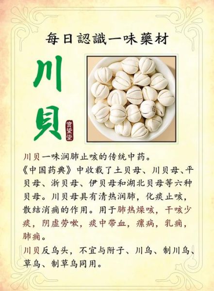 川贝母的副作用有哪些_川贝母禁忌人群-第1张图片-山城妙识 川贝母的副作用有哪些_川贝母禁忌人群-第1张图片-山城妙识