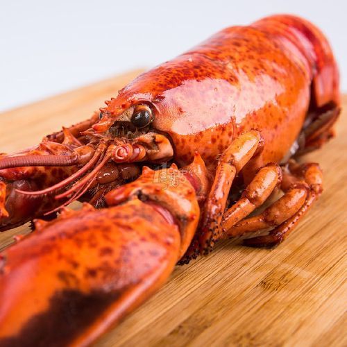 加拿大龙虾怎么做_加拿大龙虾蒸还是煮-第3张图片-山城妙识 加拿大龙虾怎么做_加拿大龙虾蒸还是煮-第3张图片-山城妙识