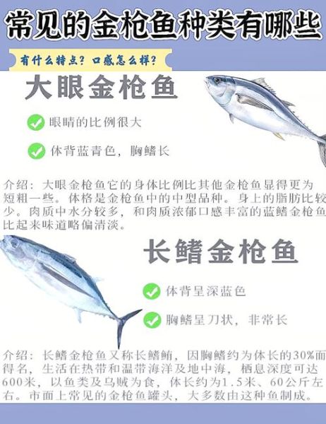 10斤金枪鱼多少钱_金枪鱼价格为什么差距大-第3张图片-山城妙识 10斤金枪鱼多少钱_金枪鱼价格为什么差距大-第3张图片-山城妙识