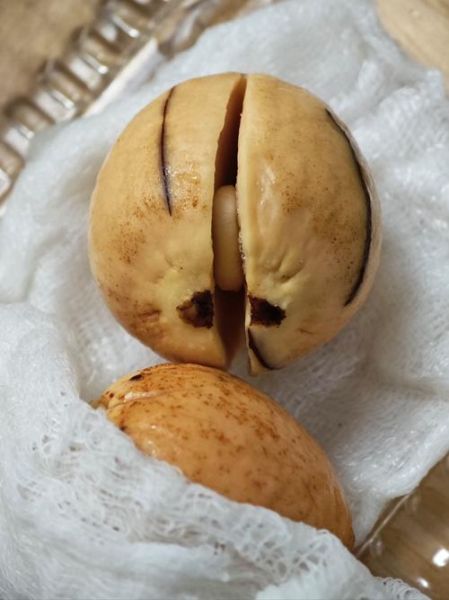 牛油果的核能生吃吗_牛油果的核怎么吃最好-第2张图片-山城妙识 牛油果的核能生吃吗_牛油果的核怎么吃最好-第2张图片-山城妙识