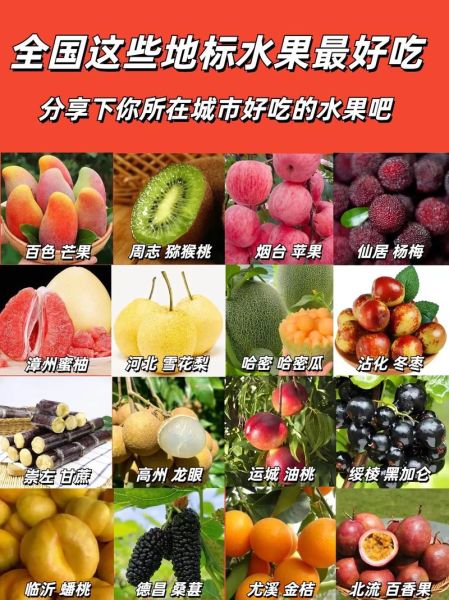 中国水果产地有哪些_哪里的水果最好吃-第2张图片-山城妙识 中国水果产地有哪些_哪里的水果最好吃-第2张图片-山城妙识