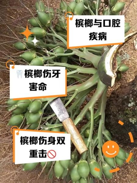 一天吃一颗槟榔没事吧_长期影响大吗-第1张图片-山城妙识 一天吃一颗槟榔没事吧_长期影响大吗-第1张图片-山城妙识