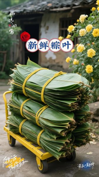 粽叶种类有哪些_粽叶怎么保存不变黄-第1张图片-山城妙识 粽叶种类有哪些_粽叶怎么保存不变黄-第1张图片-山城妙识