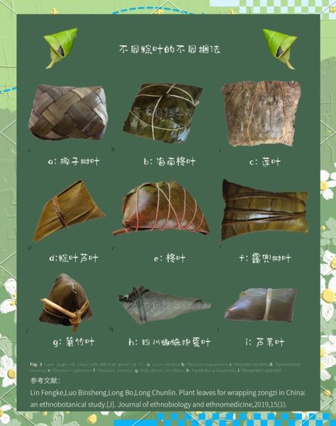 粽叶种类有哪些_粽叶怎么保存不变黄-第3张图片-山城妙识 粽叶种类有哪些_粽叶怎么保存不变黄-第3张图片-山城妙识