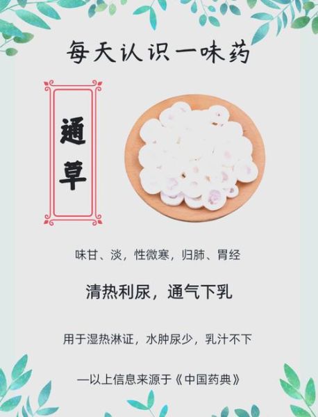 通草怎么吃_通草的正确食用方法-第1张图片-山城妙识 通草怎么吃_通草的正确食用方法-第1张图片-山城妙识