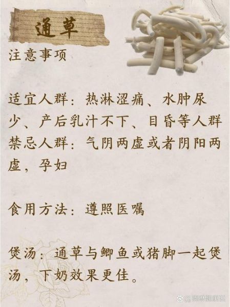 通草怎么吃_通草的正确食用方法-第3张图片-山城妙识 通草怎么吃_通草的正确食用方法-第3张图片-山城妙识