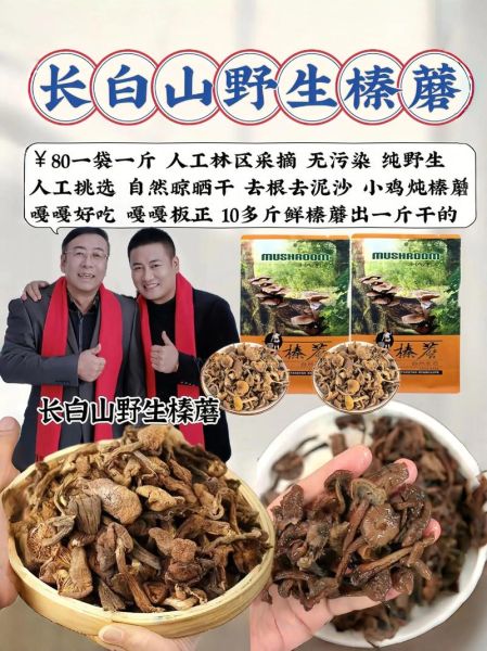 小鸡炖榛蘑怎么做_小鸡炖榛蘑正宗做法-第1张图片-山城妙识 小鸡炖榛蘑怎么做_小鸡炖榛蘑正宗做法-第1张图片-山城妙识