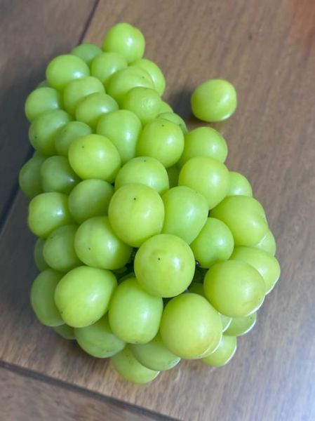 青提子的功效与作用及禁忌_哪些人不能吃-第1张图片-山城妙识 青提子的功效与作用及禁忌_哪些人不能吃-第1张图片-山城妙识