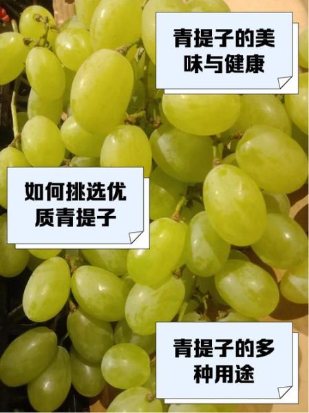 青提子的功效与作用及禁忌_哪些人不能吃-第2张图片-山城妙识 青提子的功效与作用及禁忌_哪些人不能吃-第2张图片-山城妙识