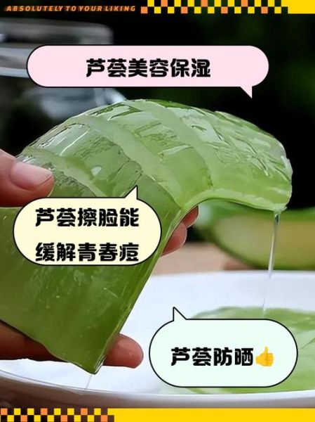 用芦荟擦脸的正确方法_芦荟直接涂脸会不会过敏-第1张图片-山城妙识 用芦荟擦脸的正确方法_芦荟直接涂脸会不会过敏-第1张图片-山城妙识