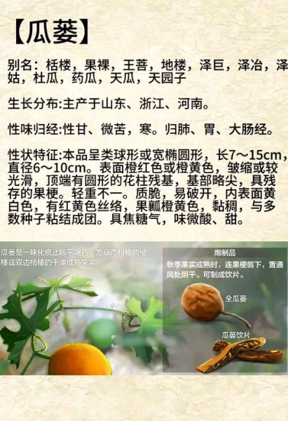 栝楼子的功效与作用_栝楼子怎么吃最好-第1张图片-山城妙识 栝楼子的功效与作用_栝楼子怎么吃最好-第1张图片-山城妙识