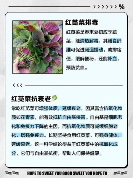 红苋菜孕妇能吃吗_孕妇吃红苋菜注意事项-第1张图片-山城妙识 红苋菜孕妇能吃吗_孕妇吃红苋菜注意事项-第1张图片-山城妙识