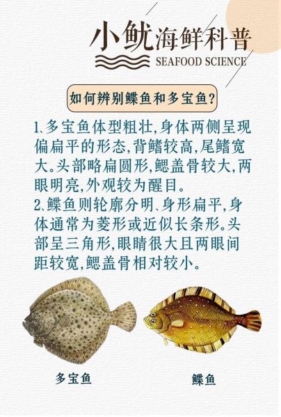 蝶鱼图片大全大图_如何分辨真假蝶鱼-第1张图片-山城妙识 蝶鱼图片大全大图_如何分辨真假蝶鱼-第1张图片-山城妙识