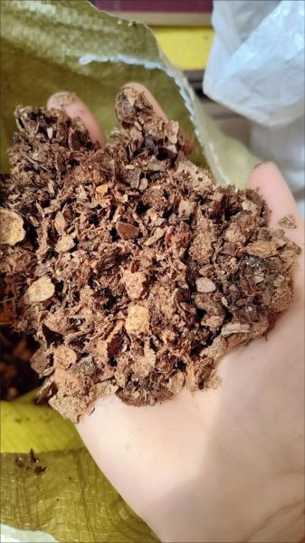 花生壳的功效与作用_花生壳能降血脂吗-第2张图片-山城妙识