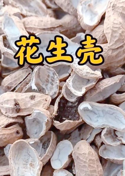 花生壳的功效与作用_花生壳能降血脂吗-第3张图片-山城妙识