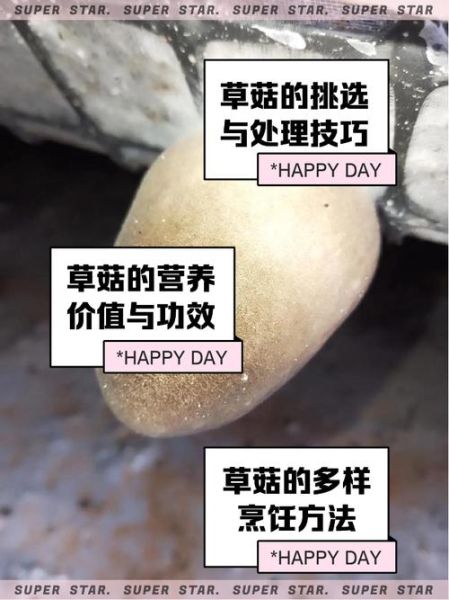 草菇栽培技术_草菇怎么种产量高-第1张图片-山城妙识 草菇栽培技术_草菇怎么种产量高-第1张图片-山城妙识