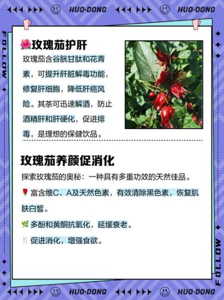 玫瑰茄和什么一起泡_玫瑰茄搭配禁忌-第1张图片-山城妙识 玫瑰茄和什么一起泡_玫瑰茄搭配禁忌-第1张图片-山城妙识