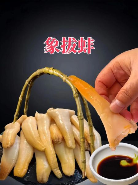 象拔蚌刺身怎么做_象拔蚌刺身怎么处理干净-第1张图片-山城妙识 象拔蚌刺身怎么做_象拔蚌刺身怎么处理干净-第1张图片-山城妙识