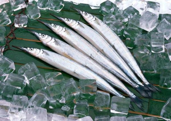 西刀鱼图片_西刀鱼长什么样-第3张图片-山城妙识 西刀鱼图片_西刀鱼长什么样-第3张图片-山城妙识