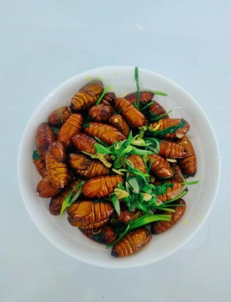 葱炒蚕蛹怎么做_蚕蛹炒多久才熟-第1张图片-山城妙识 葱炒蚕蛹怎么做_蚕蛹炒多久才熟-第1张图片-山城妙识